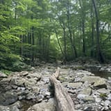 Cedar Run Falls Trail, Virginia - 720 Reviews, Map | AllTrails
