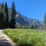 Sentinel Meadow Cook's Meadow Loop Trail, California - 3,765 Reviews ...