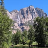 Sentinel Meadow Cook's Meadow Loop Trail, California - 3,765 Reviews ...