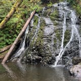 Dickerson Falls, Washington - 2,541 Reviews, Map | AllTrails