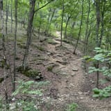 Flint Quarry and Chubb Trail Loop, Missouri - 2,812 Reviews, Map ...