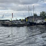 Cheshiahud Lake Union Loop, Washington - 1,946 Reviews, Map | AllTrails