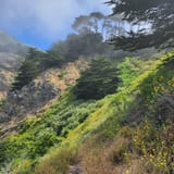 Ragged Point Inn Trail, California - 166 Reviews, Map | AllTrails