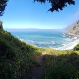 Ragged Point Inn Trail, California - 166 Reviews, Map | AllTrails