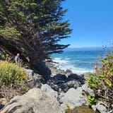 Ragged Point Inn Trail, California - 166 Reviews, Map | AllTrails
