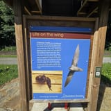 Redbank Valley Trail, Pennsylvania - 161 Reviews, Map | AllTrails