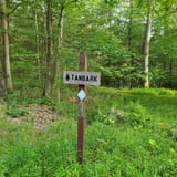 Tanbark Trail, Pennsylvania - 141 Reviews, Map | AllTrails