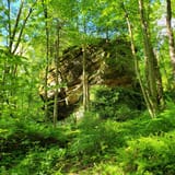 Tanbark Trail, Pennsylvania - 141 Reviews, Map | AllTrails