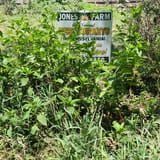 Butler-Freeport Trail, Pennsylvania - 518 Reviews, Map | AllTrails