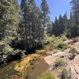 Calaveras South Grove Trail, California - 1,340 Reviews, Map | AllTrails