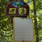 Saco River Trail, New Hampshire - 570 Reviews, Map | AllTrails
