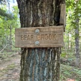 Saco River Trail, New Hampshire - 558 Reviews, Map | AllTrails