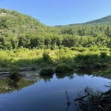 Saco River Trail, New Hampshire - 558 Reviews, Map | AllTrails