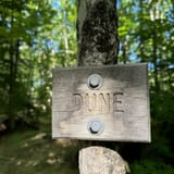 Saco River Trail, New Hampshire - 558 Reviews, Map | AllTrails