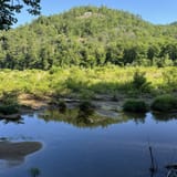 Saco River Trail, New Hampshire - 558 Reviews, Map | AllTrails