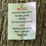 Saco River Trail, New Hampshire - 558 Reviews, Map | AllTrails