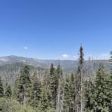 Muir Grove Trail, California - 392 Reviews, Map | AllTrails