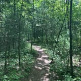 Midhurst Trail , Ontario, Canada - 1,544 Reviews, Map | AllTrails