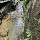 The Flume Gorge Trail, New Hampshire - 4,494 Reviews, Map | AllTrails