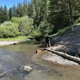 Webster's Dam/Manmade Falls, Idaho - 273 Reviews, Map | AllTrails