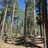 See Spring Trail, Arizona - 783 Reviews, Map | AllTrails