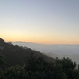 Fryman Canyon Trail, California - 6,350 Reviews, Map | AllTrails