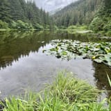 Two Lakes Trail, Alaska - 571 Reviews, Map | AllTrails