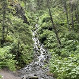 Two Lakes Trail, Alaska - 571 Reviews, Map | AllTrails