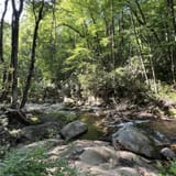 Daniel Ridge Loop, North Carolina - 2,075 Reviews, Map | AllTrails