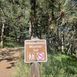 Independence Mountain Trail, Colorado - 5,221 Reviews, Map | AllTrails
