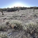 Warren Peak via Black Rock Trail and Panorama Loop, California - 1,096 ...