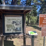 Huckleberry Hill Loop, California - 884 Reviews, Map | AllTrails