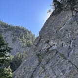 Heart Creek Trail, Alberta, Canada - 3,600 Reviews, Map | AllTrails