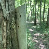 Bootleg Access Trail, Missouri - 71 Reviews, Map | AllTrails