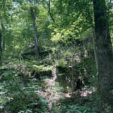 Bootleg Access Trail, Missouri - 71 Reviews, Map | AllTrails