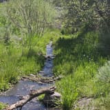 Yellow Fork Trail, Utah - 941 Reviews, Map | AllTrails