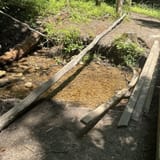 Long Branch Loop Trail, Georgia - 2,375 Reviews, Map | AllTrails