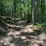 Long Branch Loop Trail, Georgia - 2,375 Reviews, Map | AllTrails