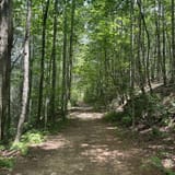 Long Branch Loop Trail, Georgia - 2,375 Reviews, Map | AllTrails