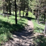 Fall River Loop, Oregon - 560 Reviews, Map | AllTrails