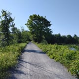 Island Line Rail Trail, Vermont - 527 Reviews, Map | AllTrails
