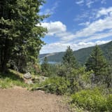 Chief Joseph Mountain Trail, Oregon - 443 Reviews, Map | AllTrails