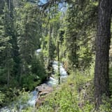 Chief Joseph Mountain Trail, Oregon - 443 Reviews, Map | AllTrails