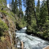 Chief Joseph Mountain Trail, Oregon - 443 Reviews, Map | AllTrails