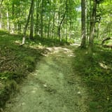 Lake Thom-a-Lex Nature Trail, North Carolina - 264 Reviews, Map | AllTrails