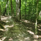 Lake Thom-a-Lex Nature Trail, North Carolina - 264 Reviews, Map | AllTrails
