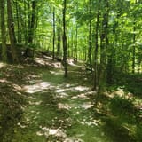 Lake Thom-a-Lex Nature Trail, North Carolina - 264 Reviews, Map | AllTrails