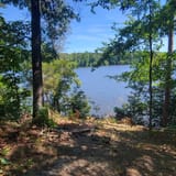 Lake Thom-a-Lex Nature Trail, North Carolina - 264 Reviews, Map | AllTrails