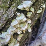 Lake Thom-a-Lex Nature Trail, North Carolina - 264 Reviews, Map | AllTrails