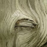 Lake Thom-a-Lex Nature Trail, North Carolina - 264 Reviews, Map | AllTrails